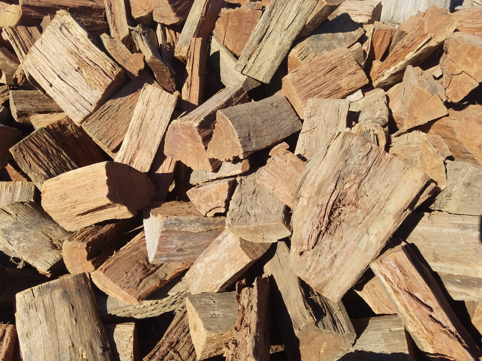 North Coast Ironbark